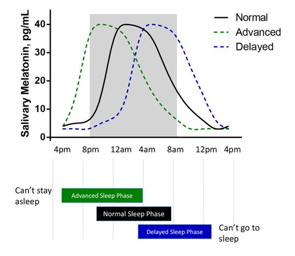 Circadian DLMO Test Information Guide – Biology of Sleep